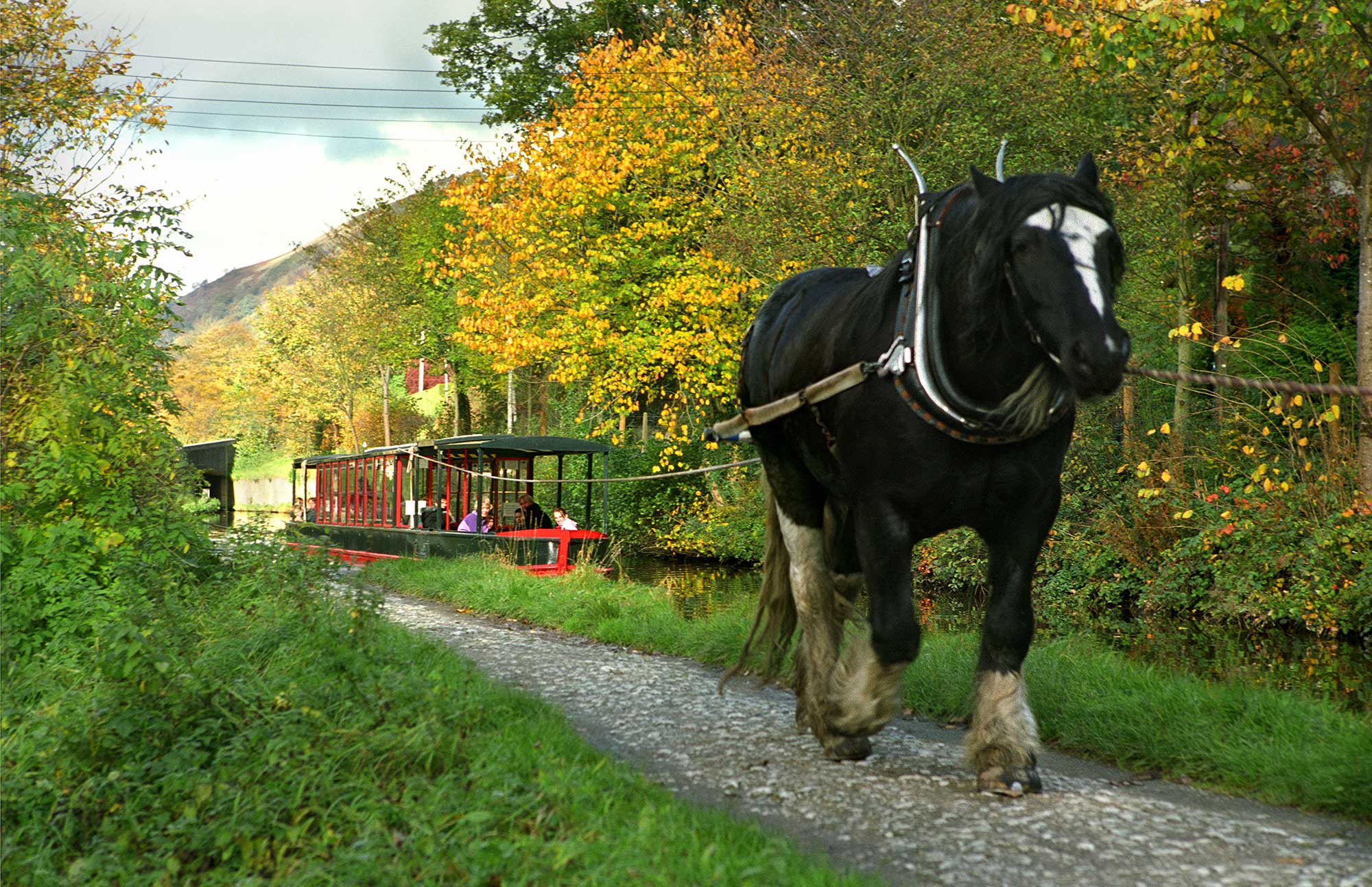 Llangollen Wharf Horse-Drawn Boats - Pontcysyllte Aqueduct and Canal ...